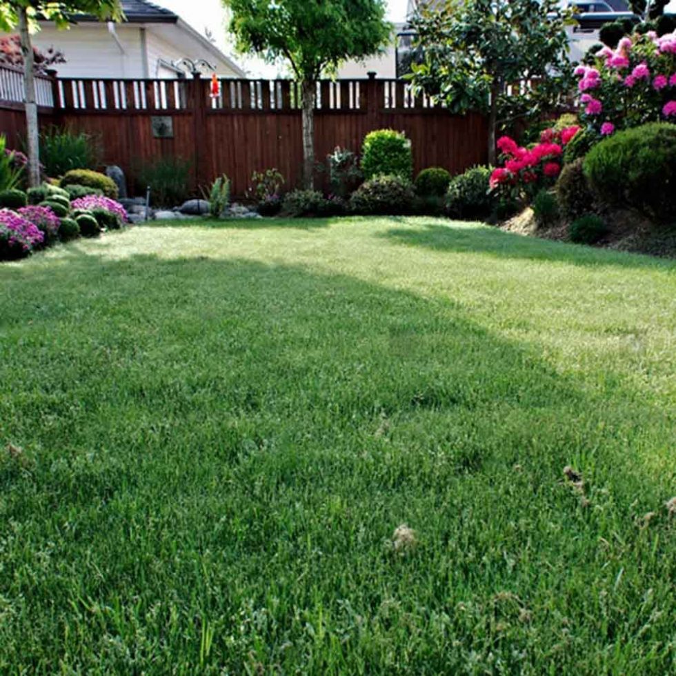 Landscaping Raymond NH | Lawn Care Services | Welch Lawn Care