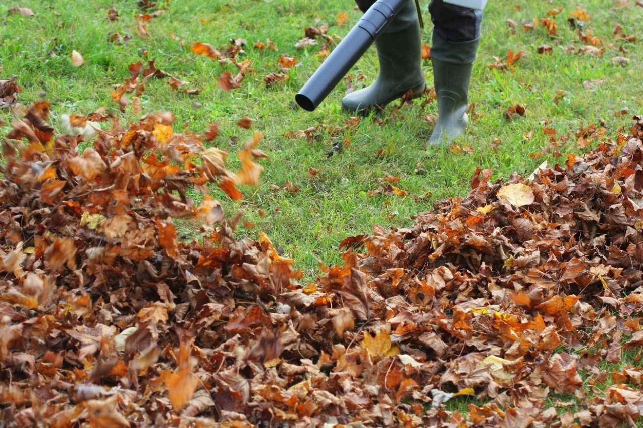 The Importance of Leaf Removal and Mulching in Fall | Welch Lawn Care